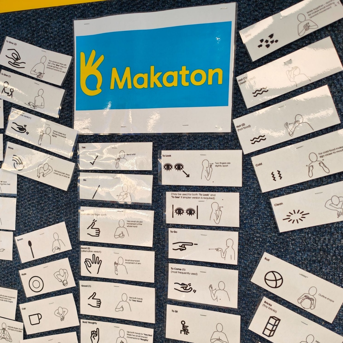 Southfields Primary School - Makaton Training